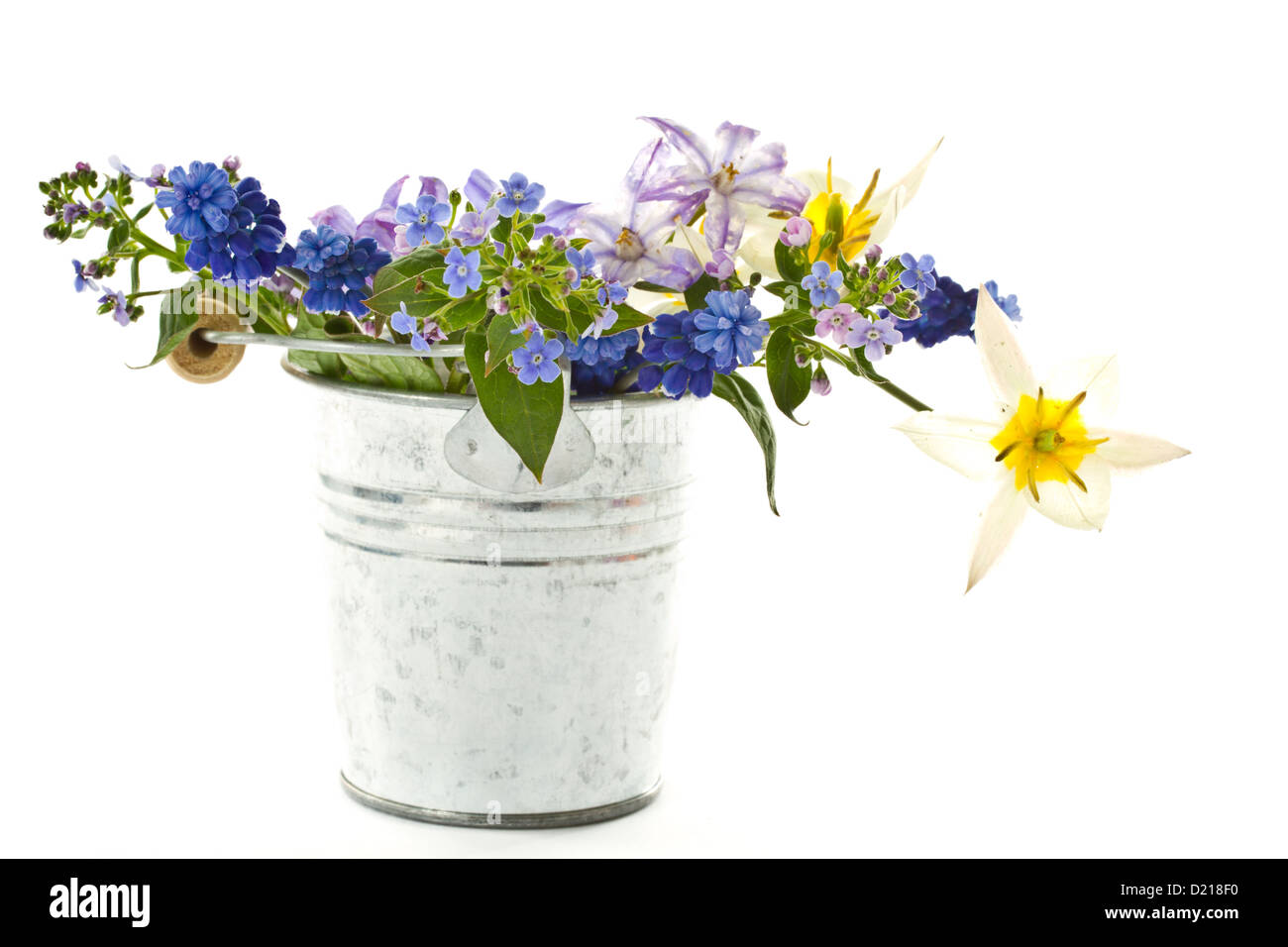 bouquet of spring flowers on a white background Stock Photo - Alamy
