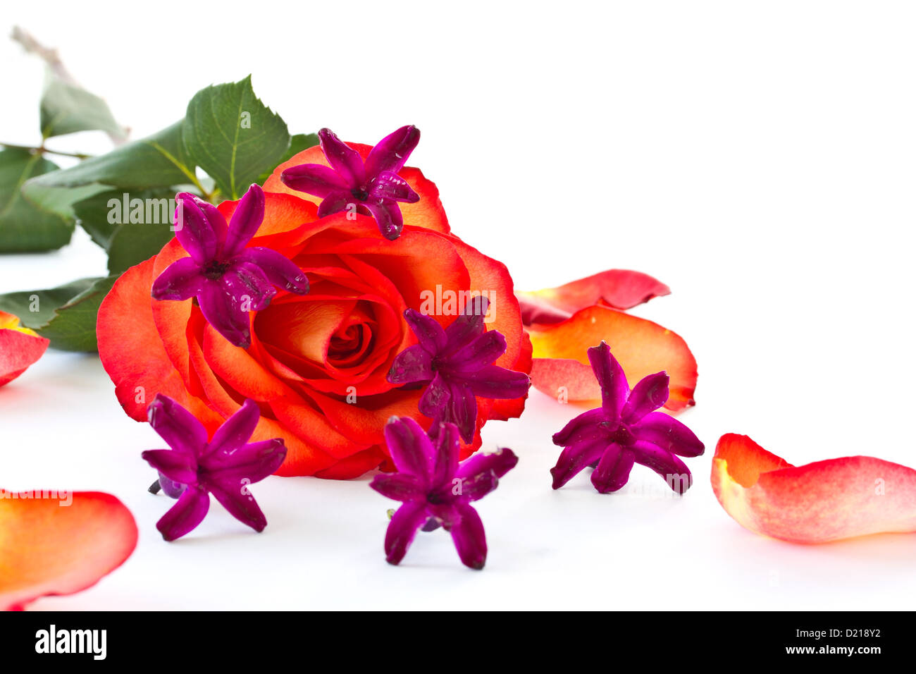 bright bouquet of roses and spring flowers Stock Photo - Alamy