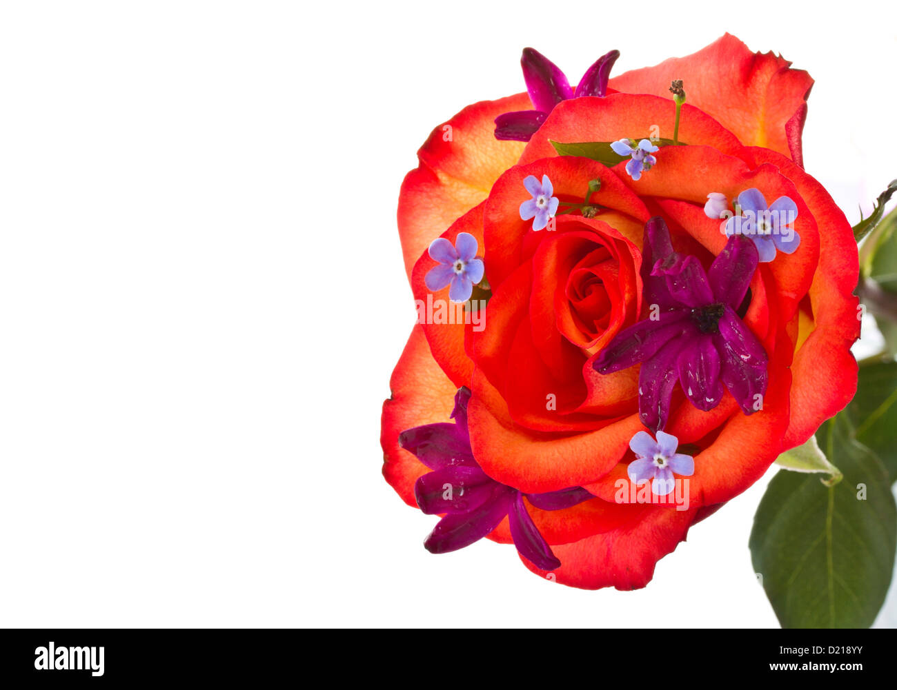 bright bouquet of roses and spring flowers Stock Photo - Alamy