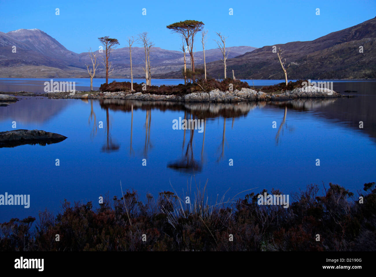 A small island in Loch Assynt in Sutherland, Scotland, photographed at ...
