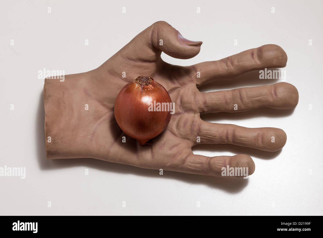 Top view of huge hand holding an onion Stock Photo - Alamy