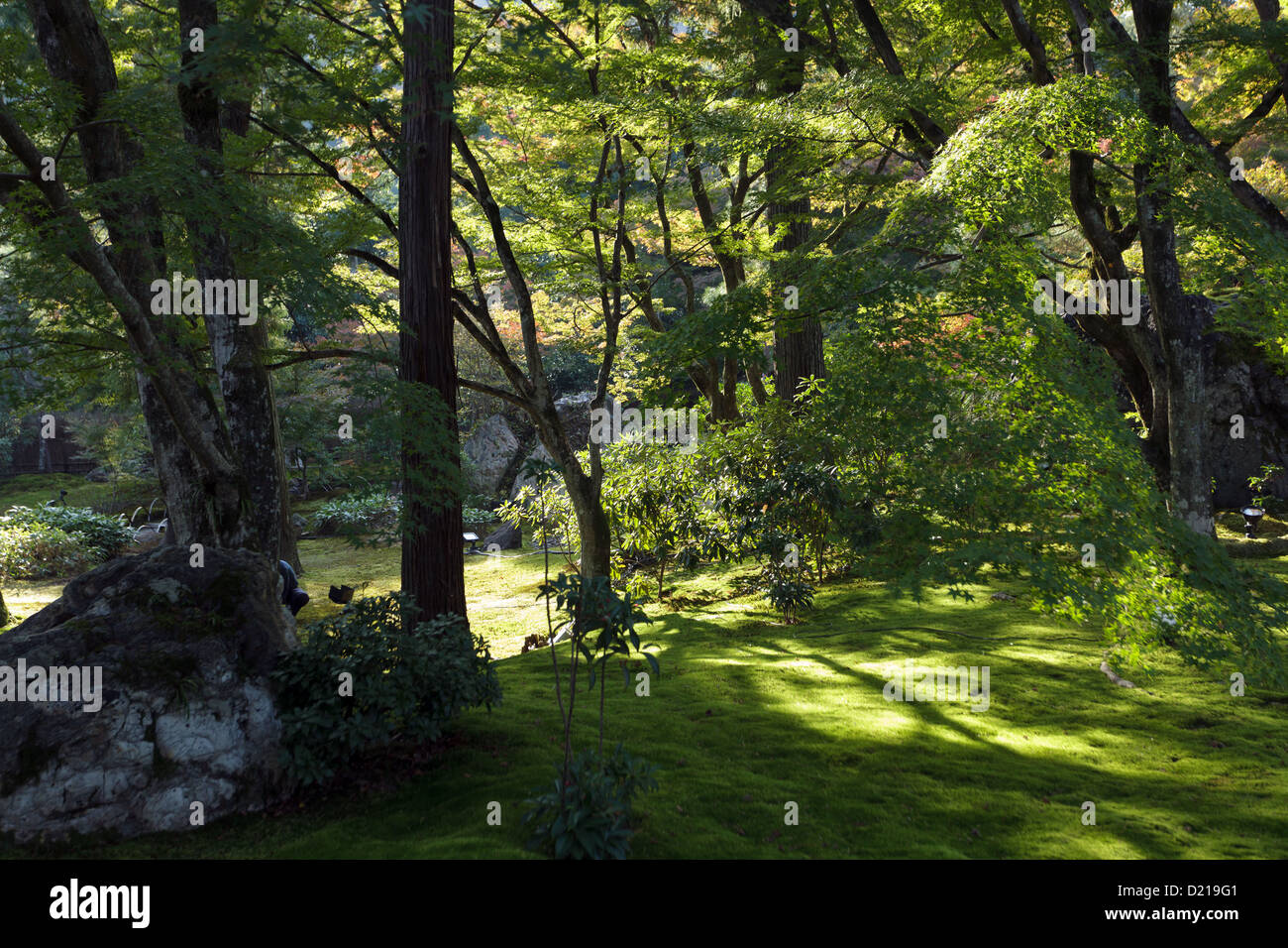 Japanese traditional garden Stock Photo - Alamy