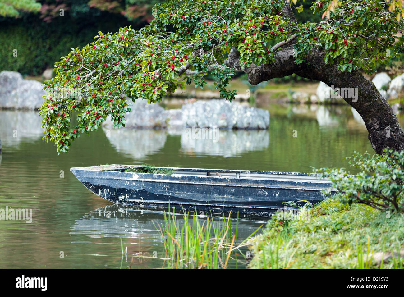Tree bending over water and rowboat in Kinkaku-ji temple japanese ...