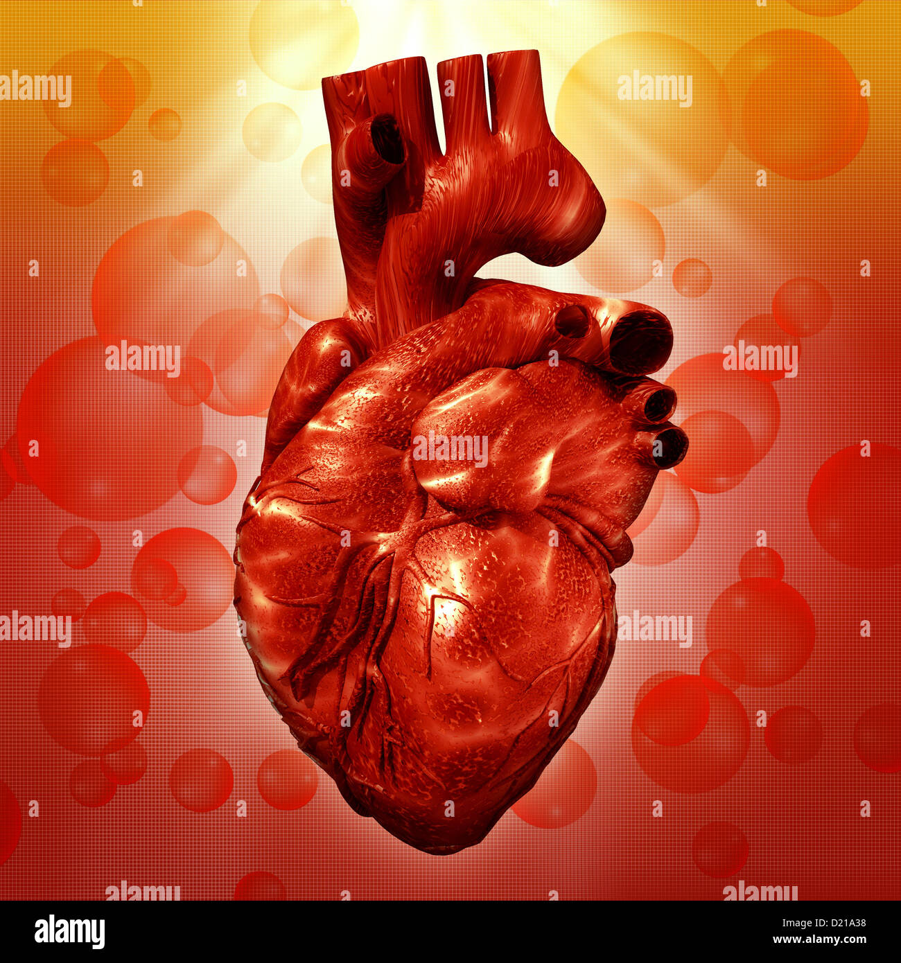 Human Heart. Abstract medical backgrounds for your design Stock Photo ...