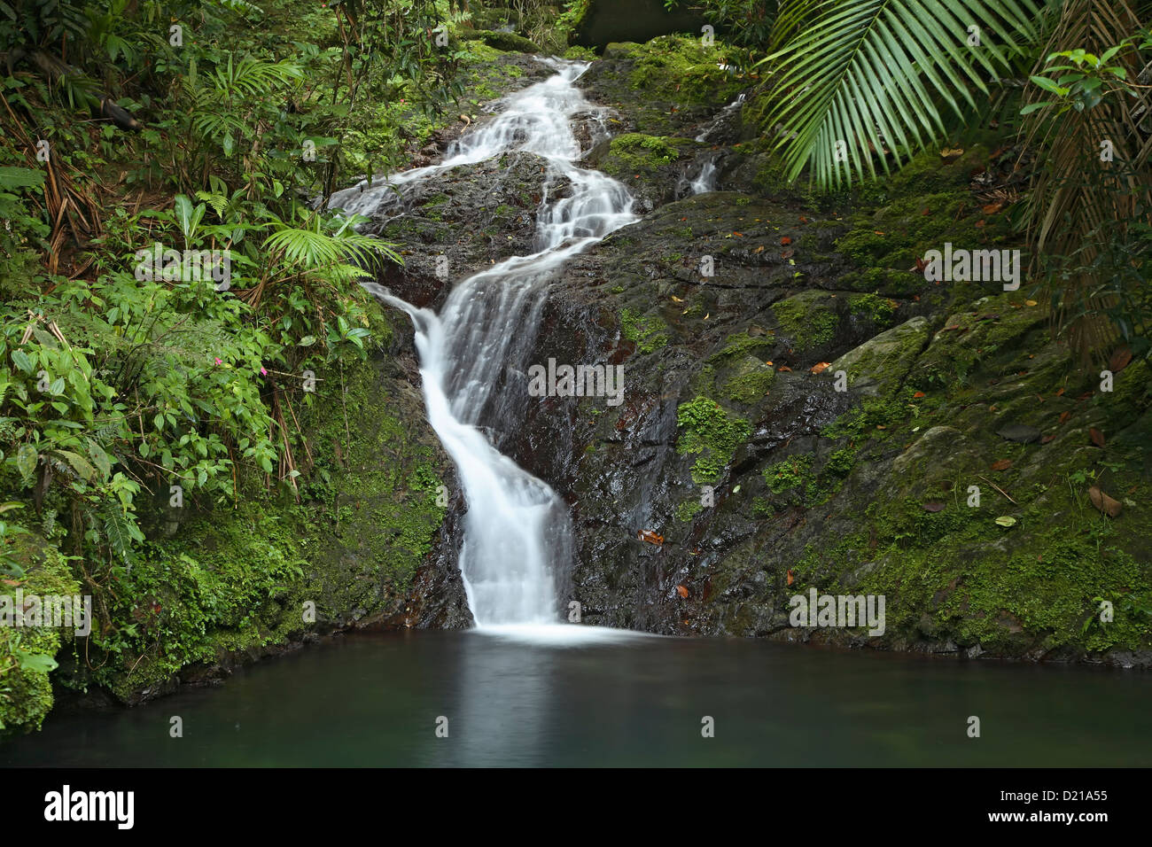 Waterfall and pool, Dona Juana Creek, Toro Negro State Forest (tropical ...