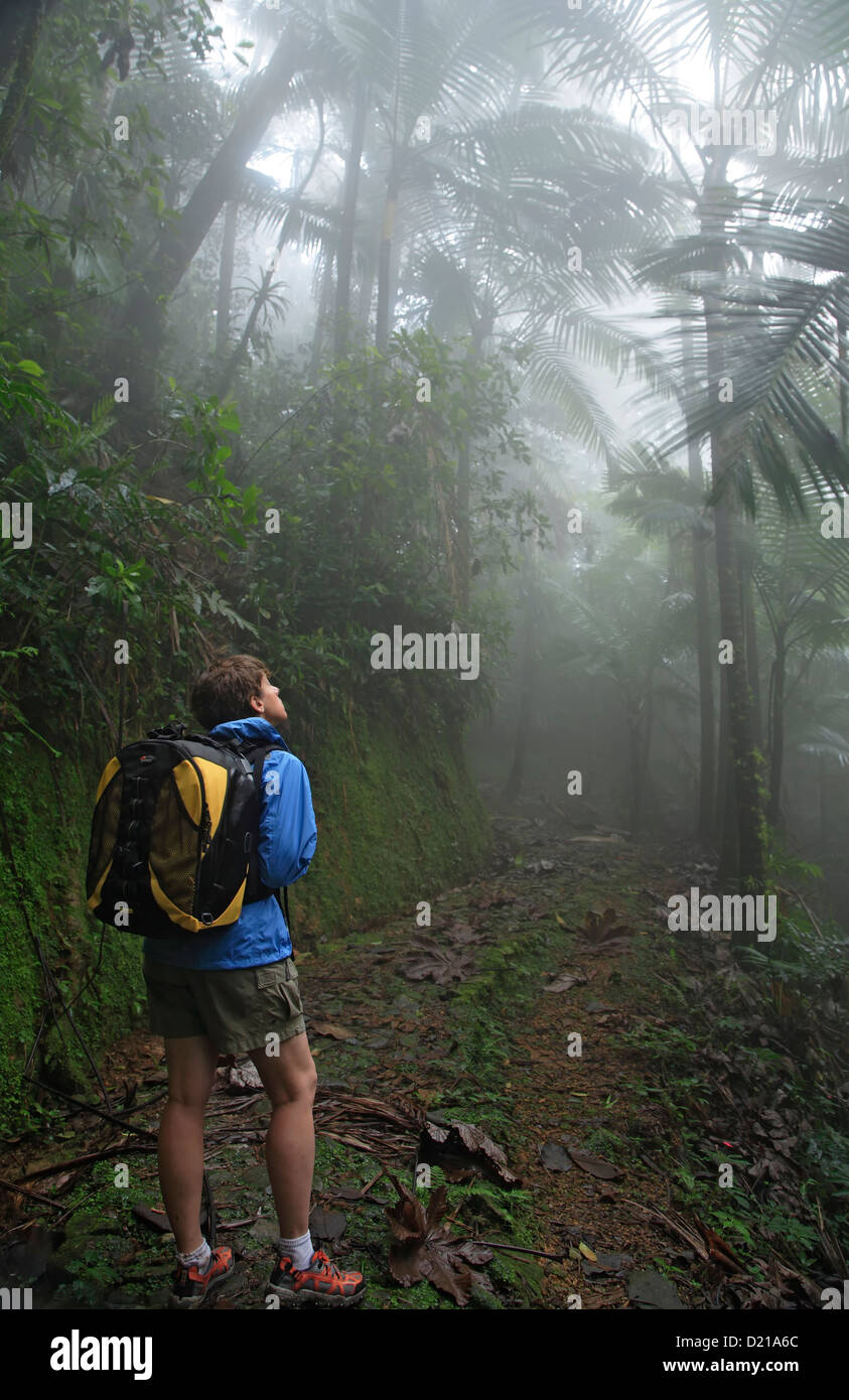 Hiker on El Bolo Trail, Toro Negro State Forest (tropical rain forest ...