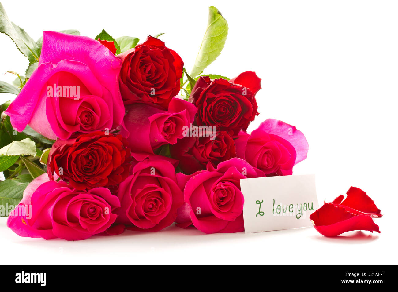 bright beautiful pink roses Stock Photo - Alamy