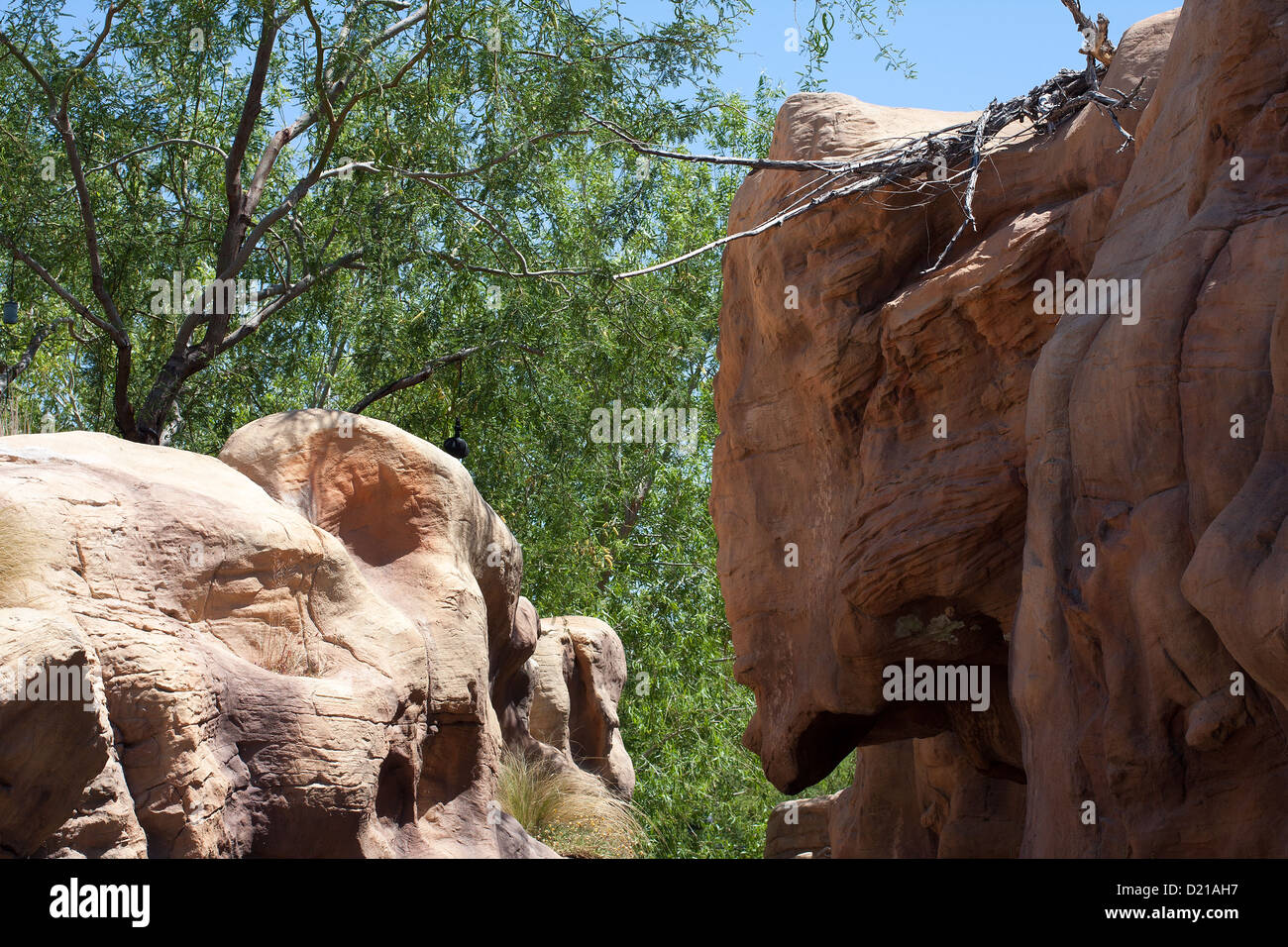 landscape,big rocks,desert forest,daylight,nature Stock Photo - Alamy