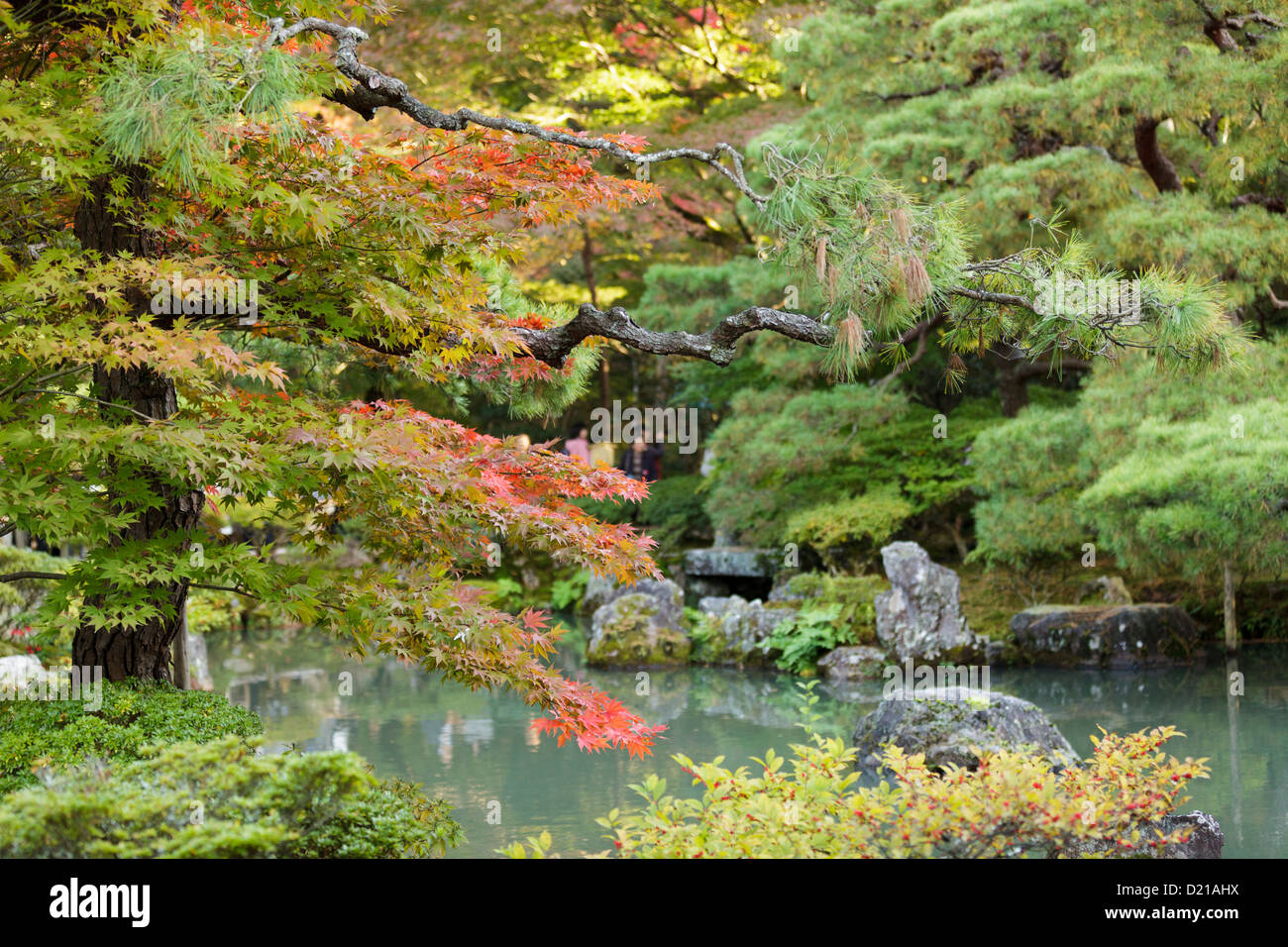 Japanese traditional garden in Kyoto imperial palace, Japan Stock Photo ...