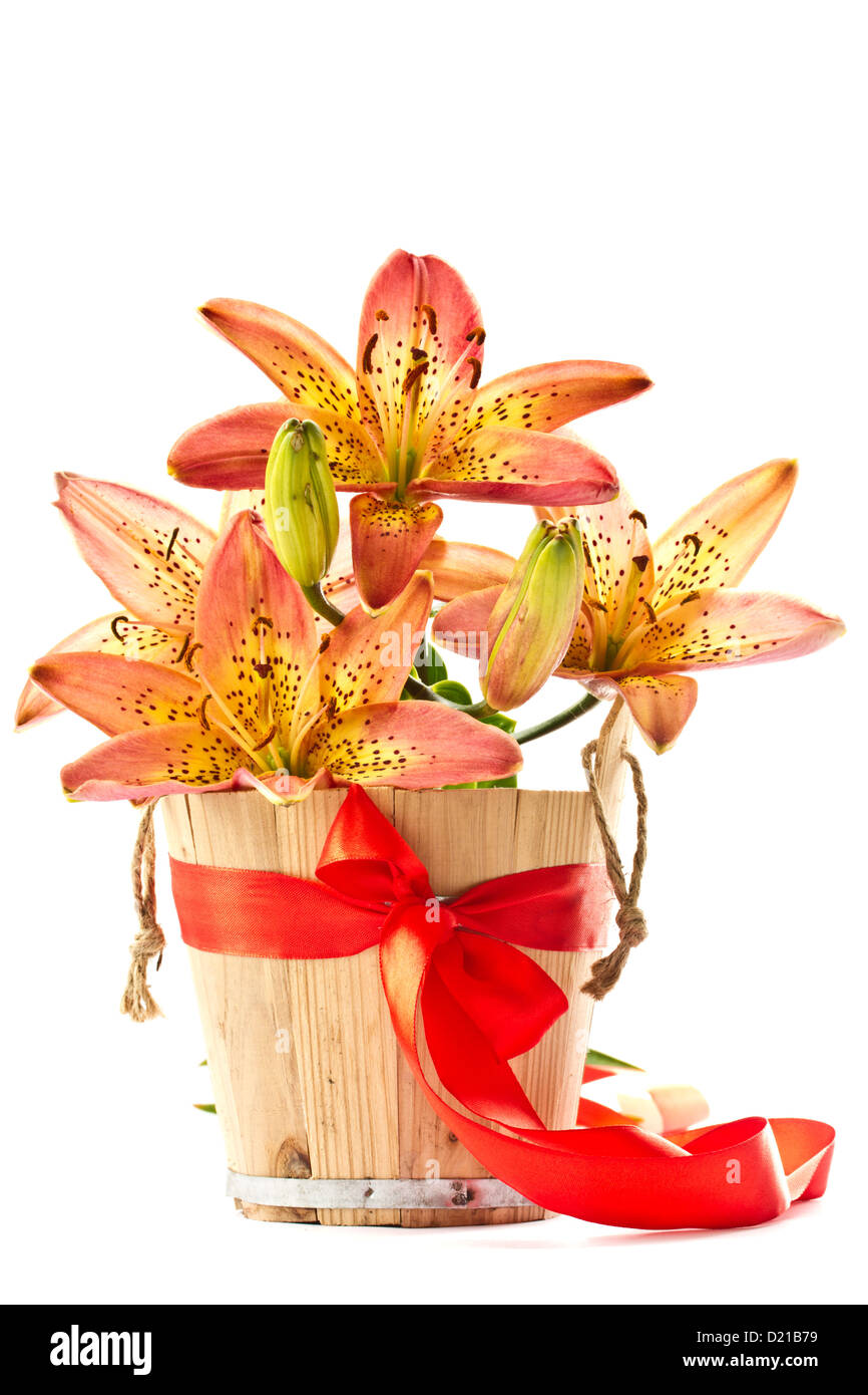 Lily bucket hi-res stock photography and images - Alamy
