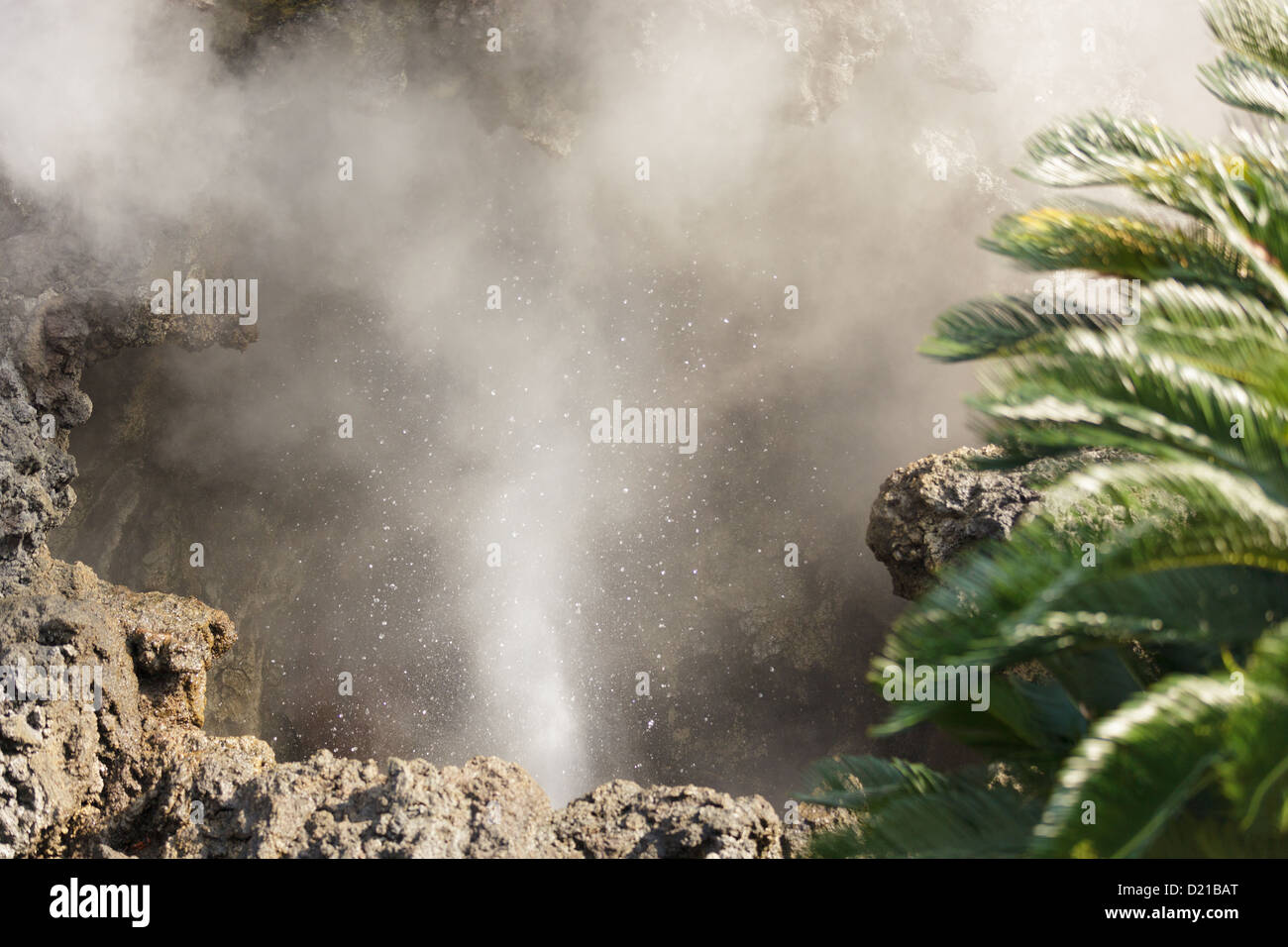 Hot spring water steam coming from rocks, Atami, Japan Stock Photo - Alamy