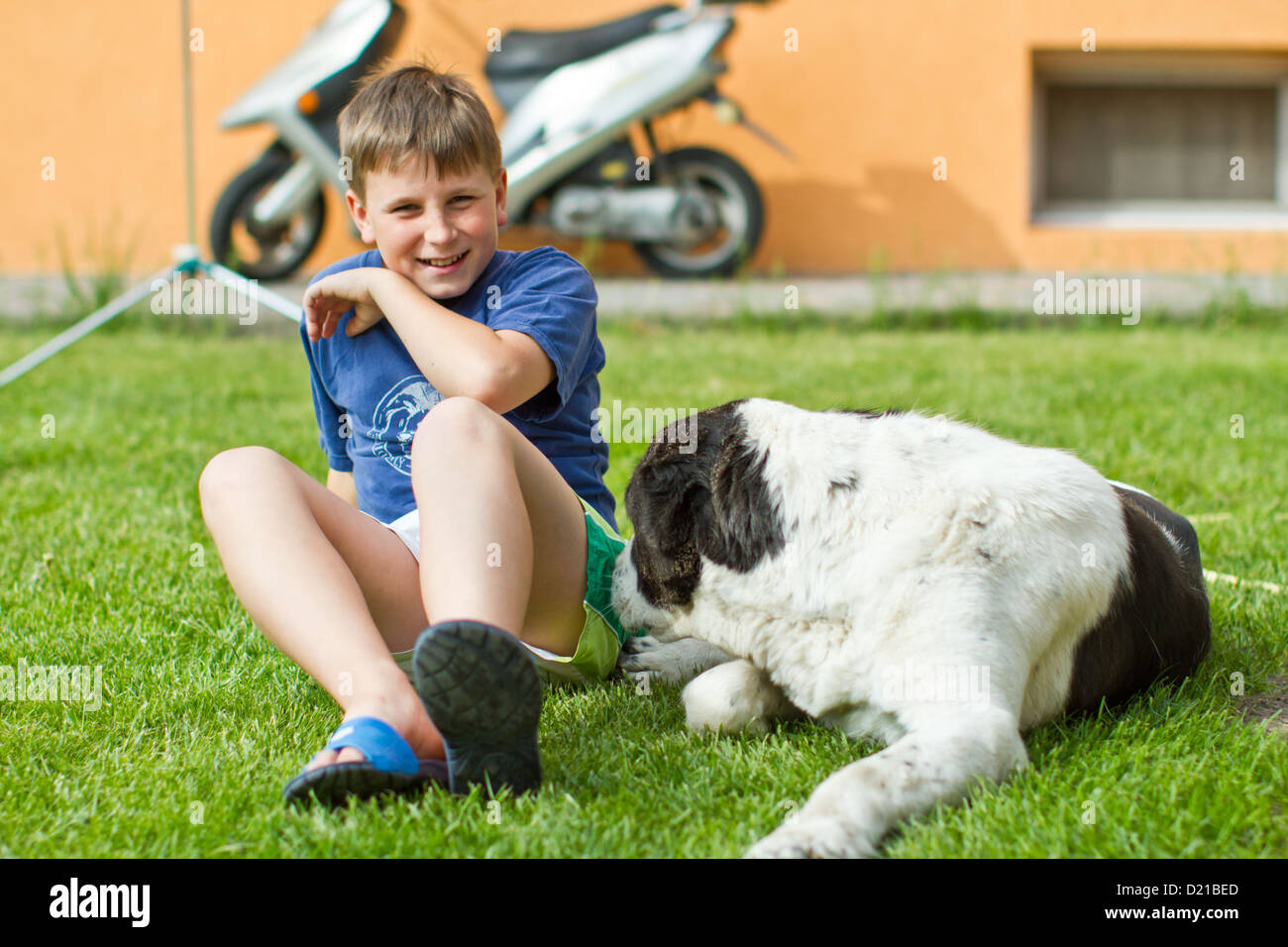 the boy with his dog Stock Photo - Alamy