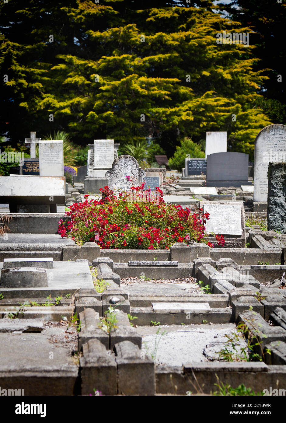 Bush cemetery hi-res stock photography and images - Alamy