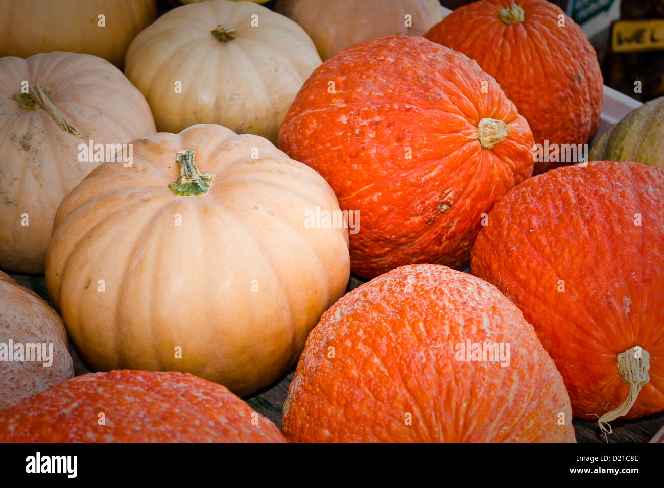 An apple farm has room for a pumpkin patch every fall Stock Photo - Alamy