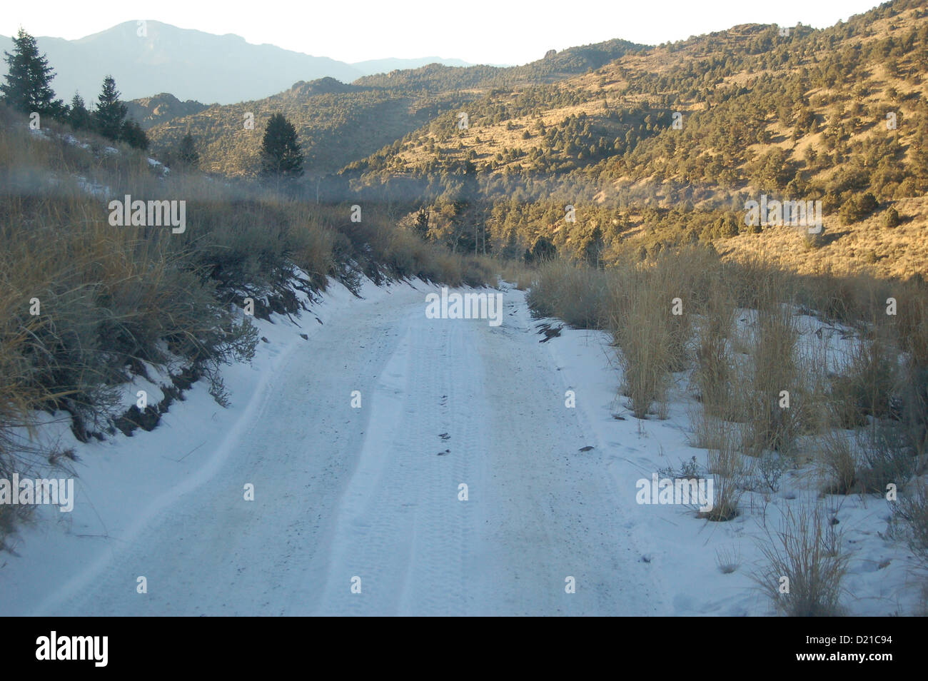 Landscape in nevada,usa,ely,alamo,mcgill,ruth Stock Photo - Alamy
