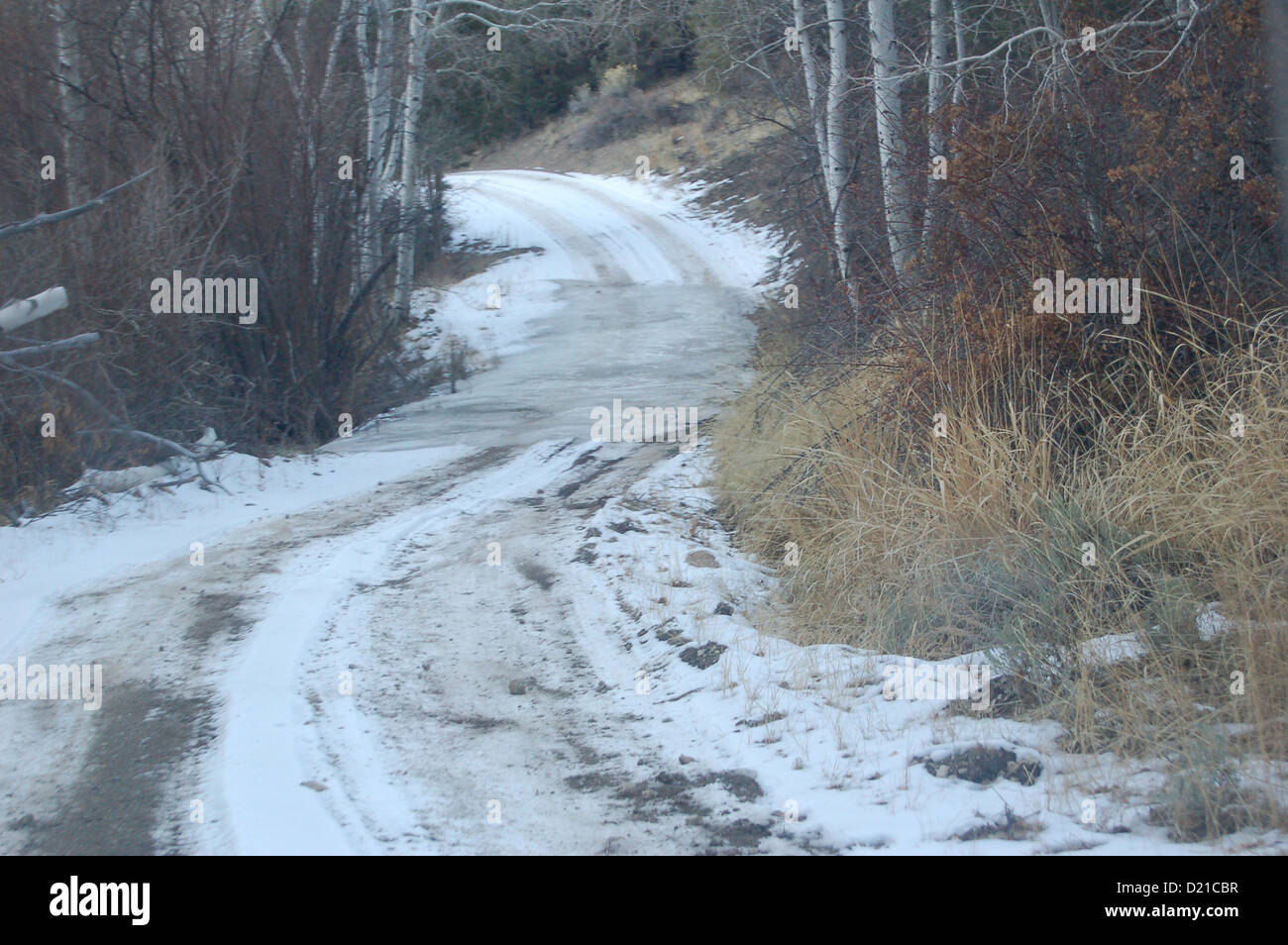 Landscape in nevada,usa,ely,alamo,mcgill,ruth Stock Photo - Alamy