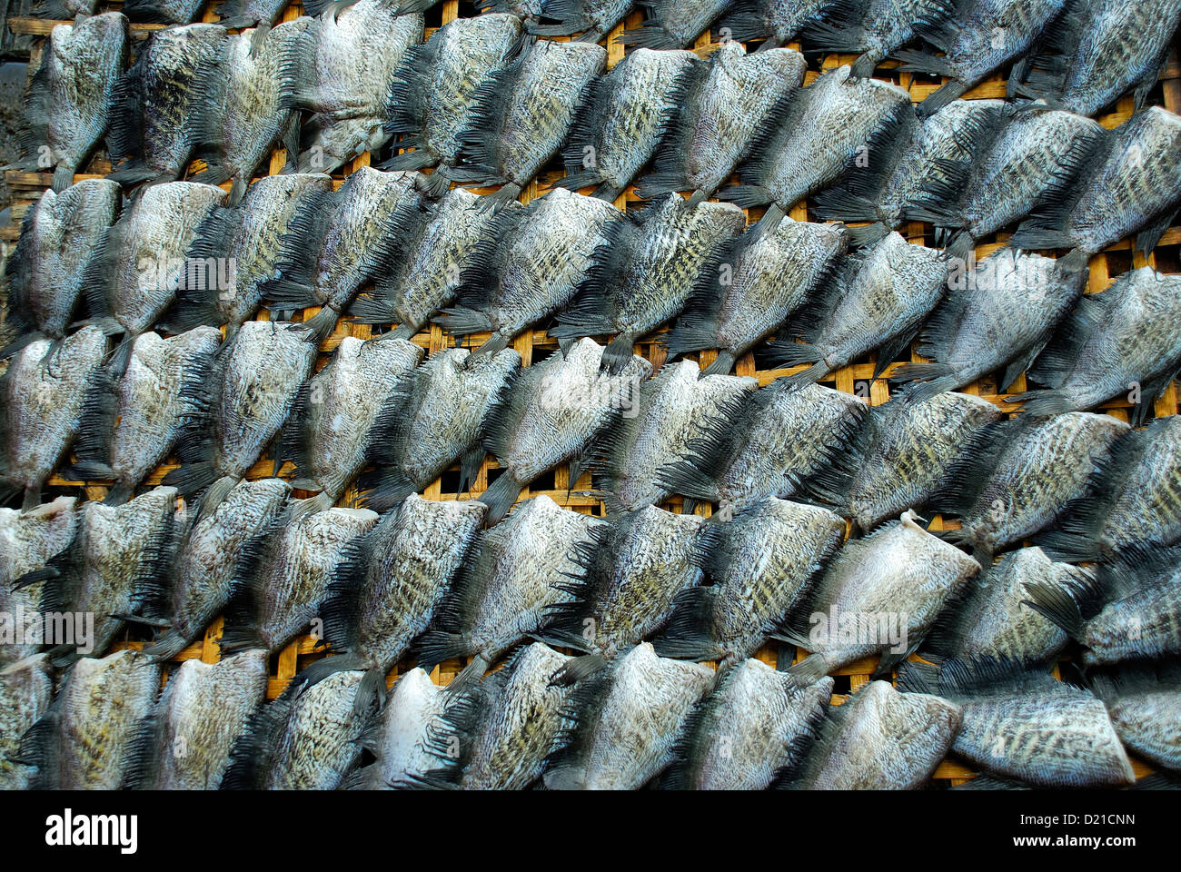 Dry fish processing hi-res stock photography and images - Alamy