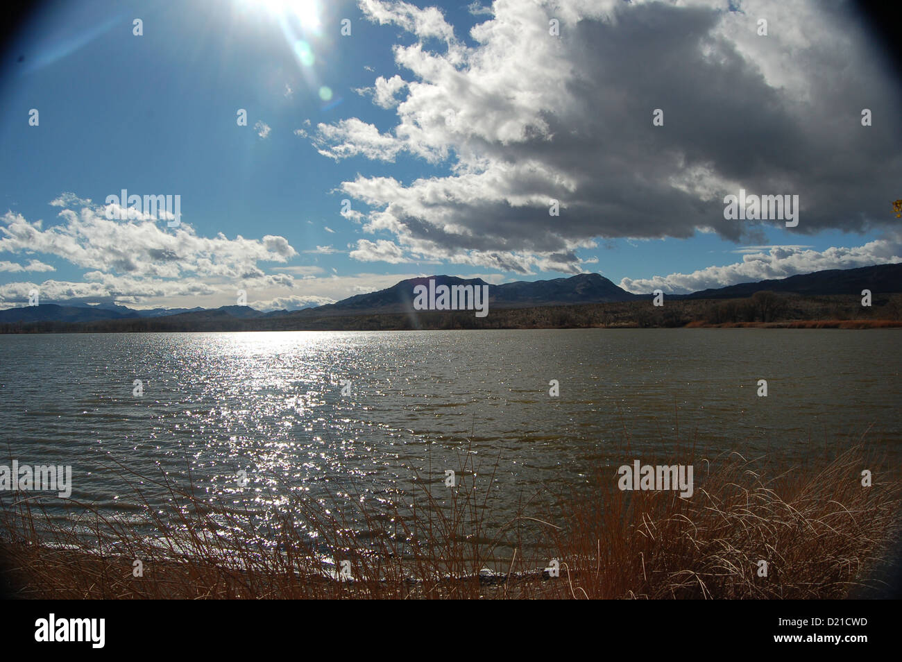 Alamo nevada hi-res stock photography and images - Alamy