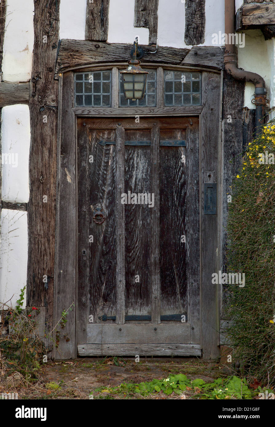 Tudor Style Interior Doors