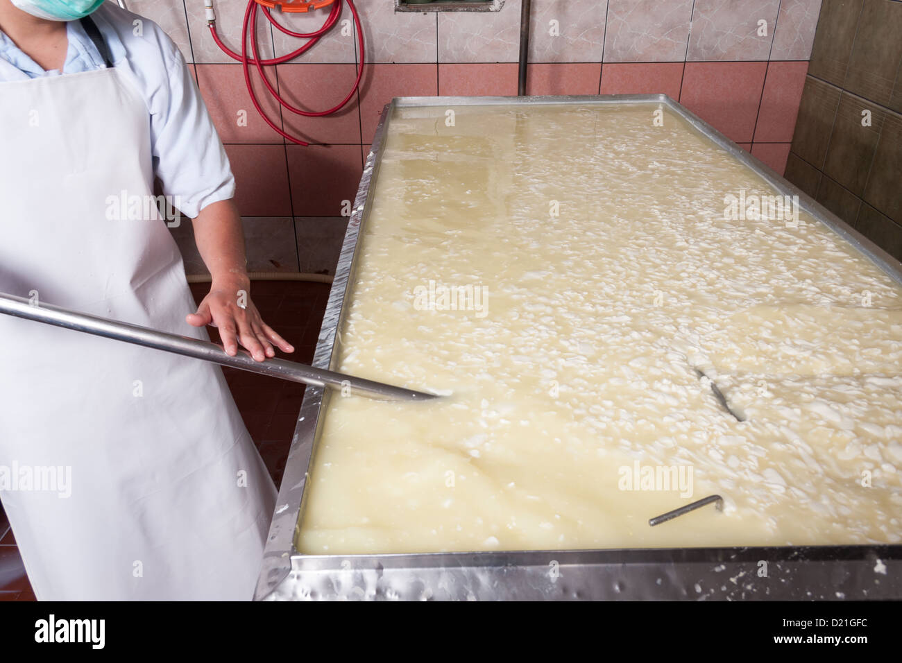 Fermenting milk being processed in a cheese factory Stock Photo - Alamy