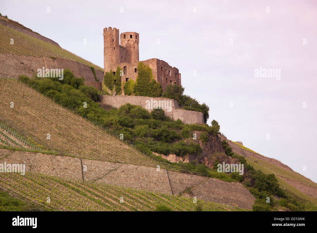 Ehrenfels castle hi-res stock photography and images - Alamy
