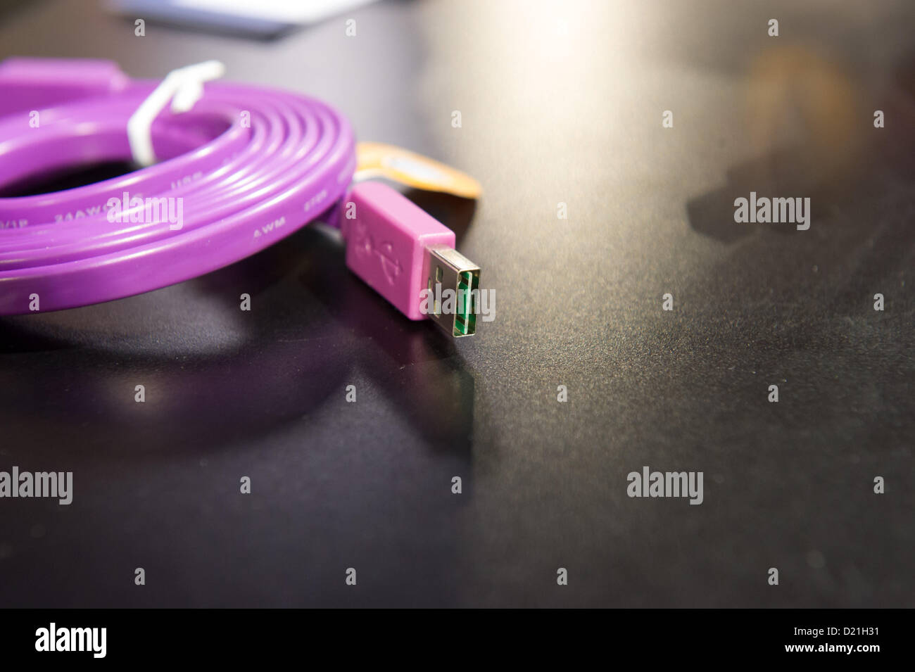 Las Vegas, US - 2013-01-09. USBRevolution reversible USB plug, unveil ...