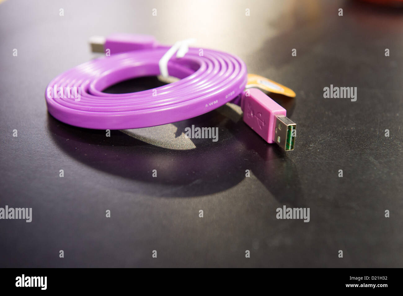 Las Vegas, US - 2013-01-09. USBRevolution reversible USB plug and USB 2 ...