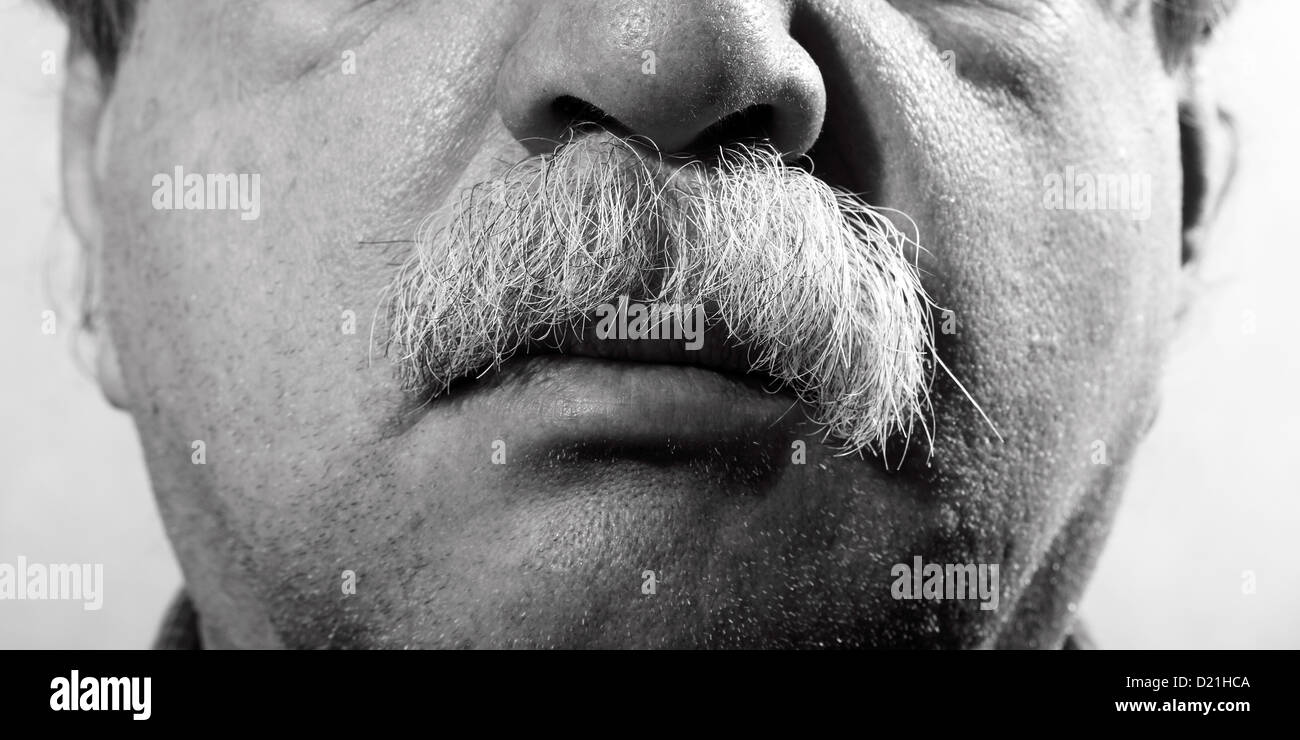 close up of mustache Stock Photo - Alamy