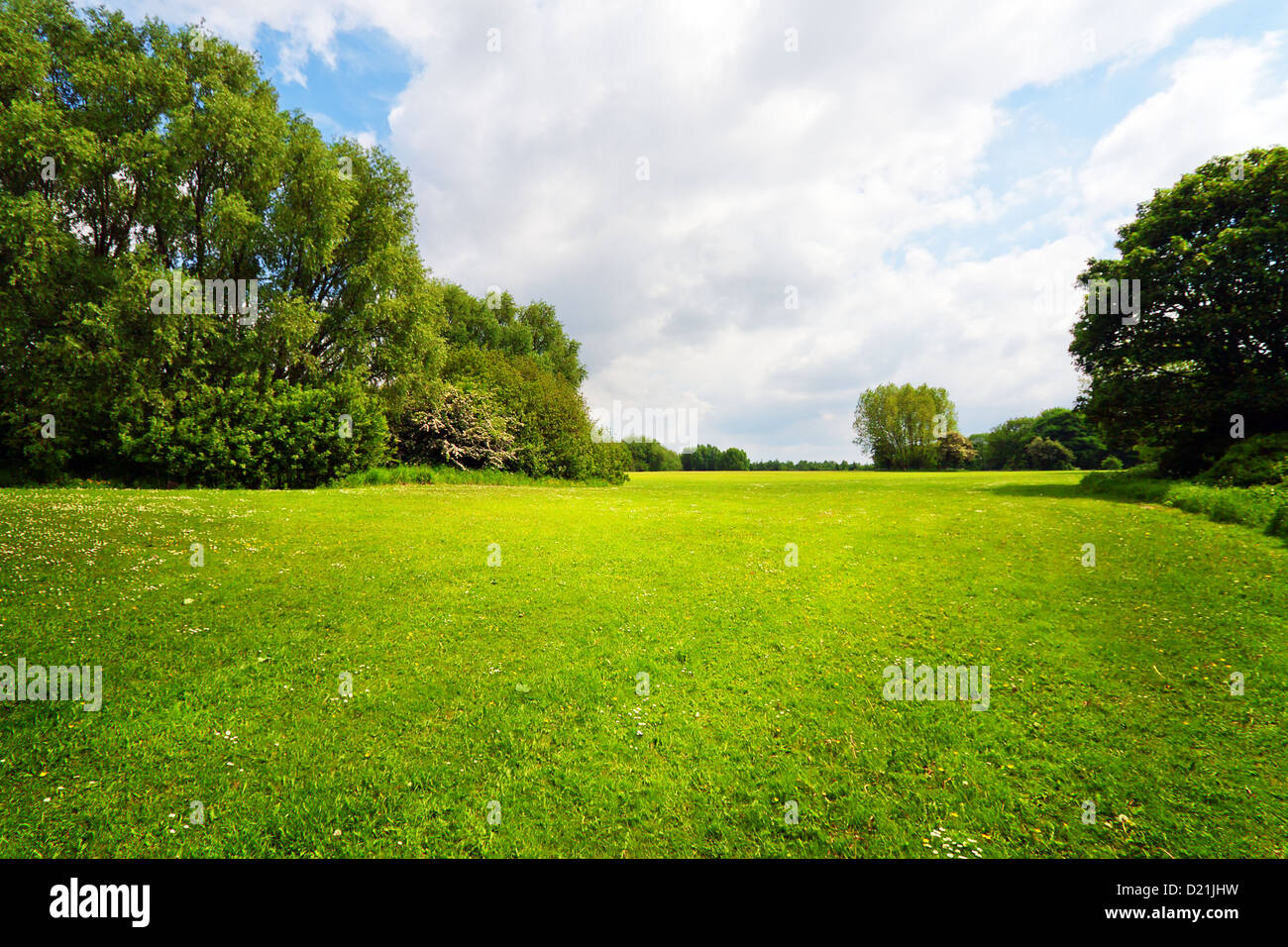 Green nature landscape Stock Photo - Alamy