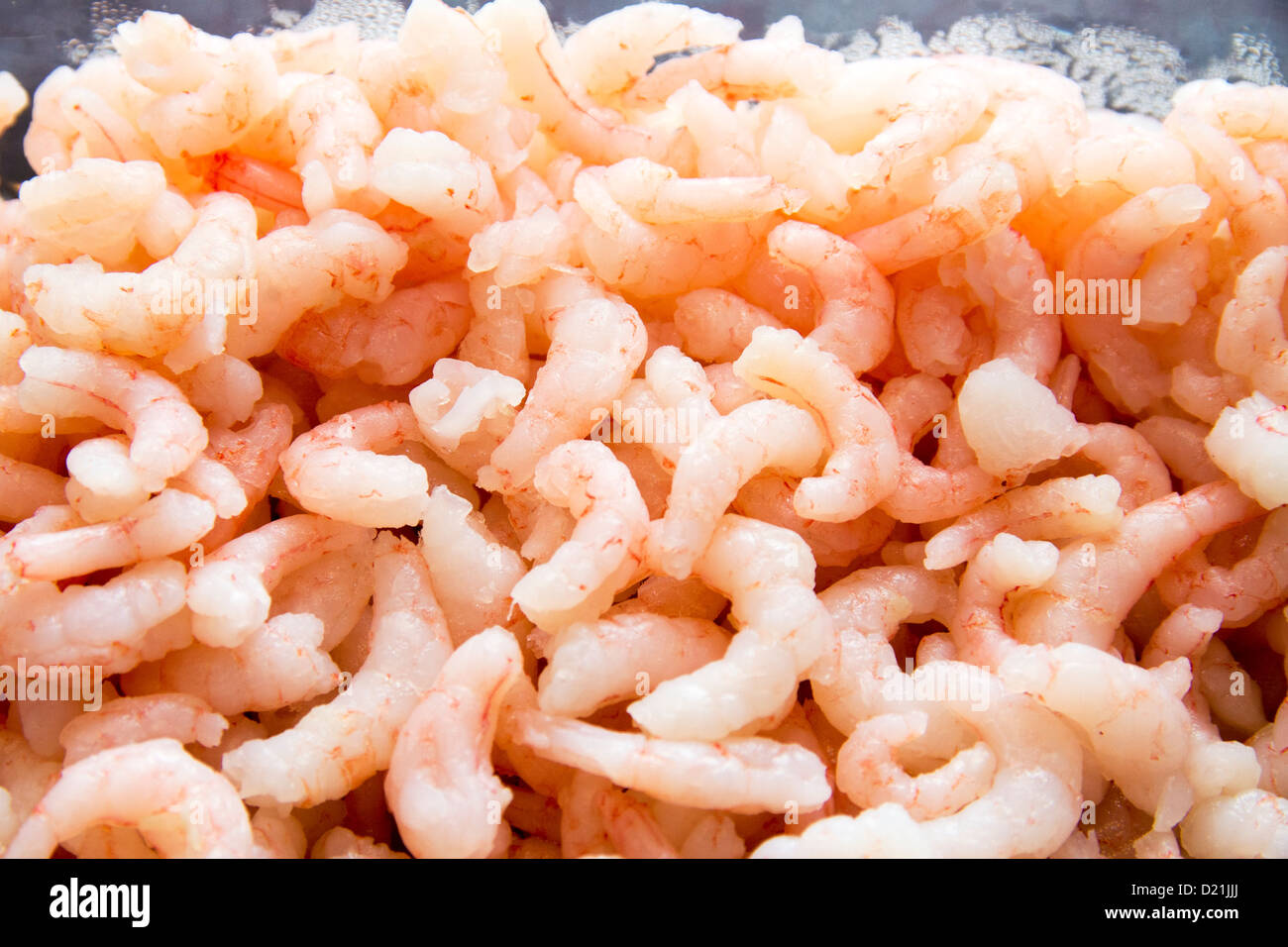 Uncooked prawn hi-res stock photography and images - Alamy