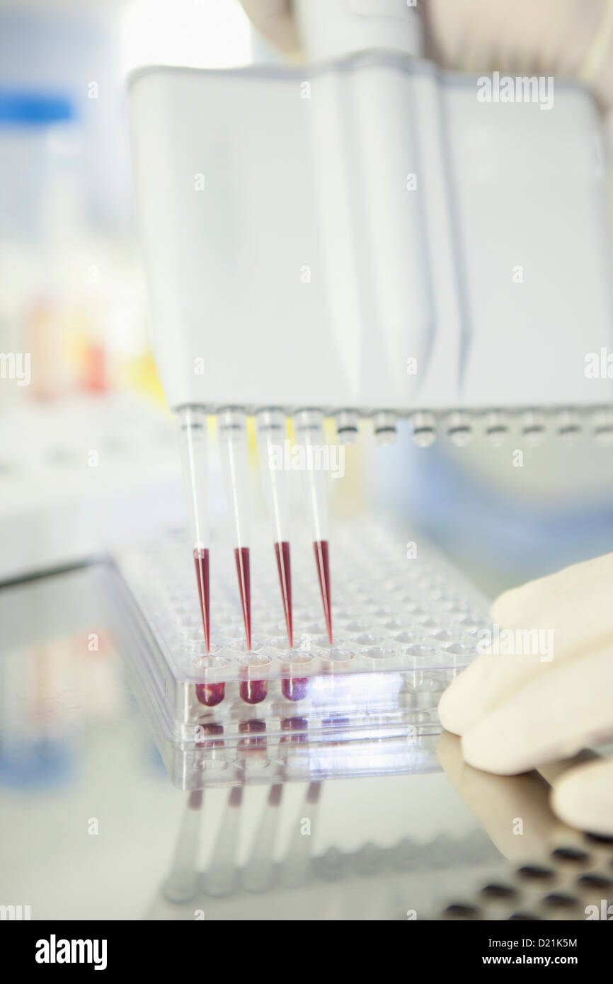 Germany, Bavaria, Munich, Scientist researching blood in laboratory ...