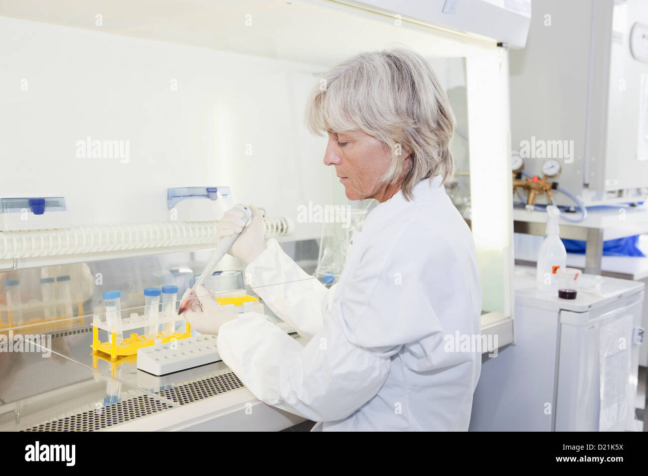 Germany, Bavaria, Munich, Scientist researching blood in laboratory ...