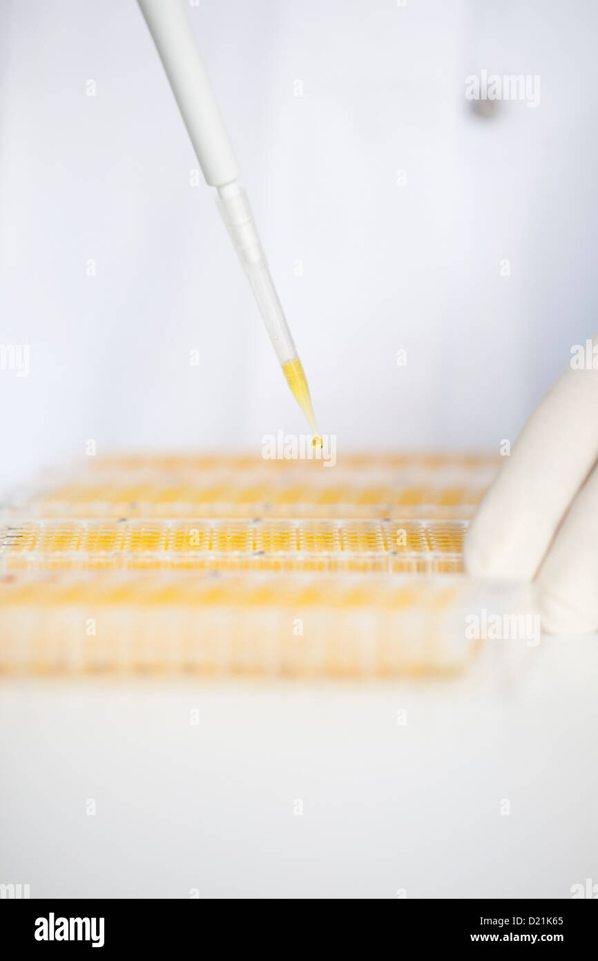 Germany, Bavaria, Munich, Scientist working with chemical in laboratory ...