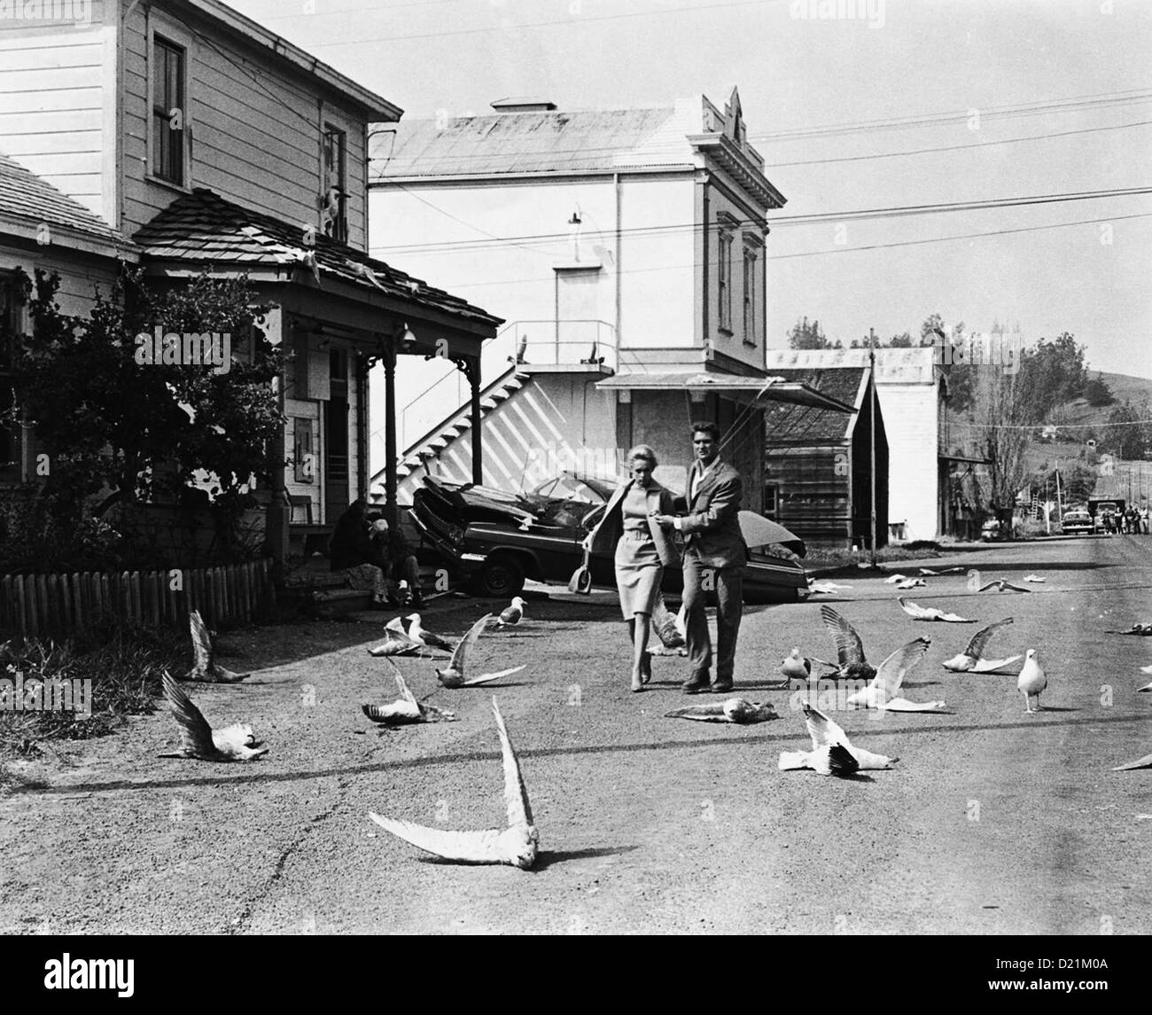 Hitchcock the birds hi-res stock photography and images - Alamy
