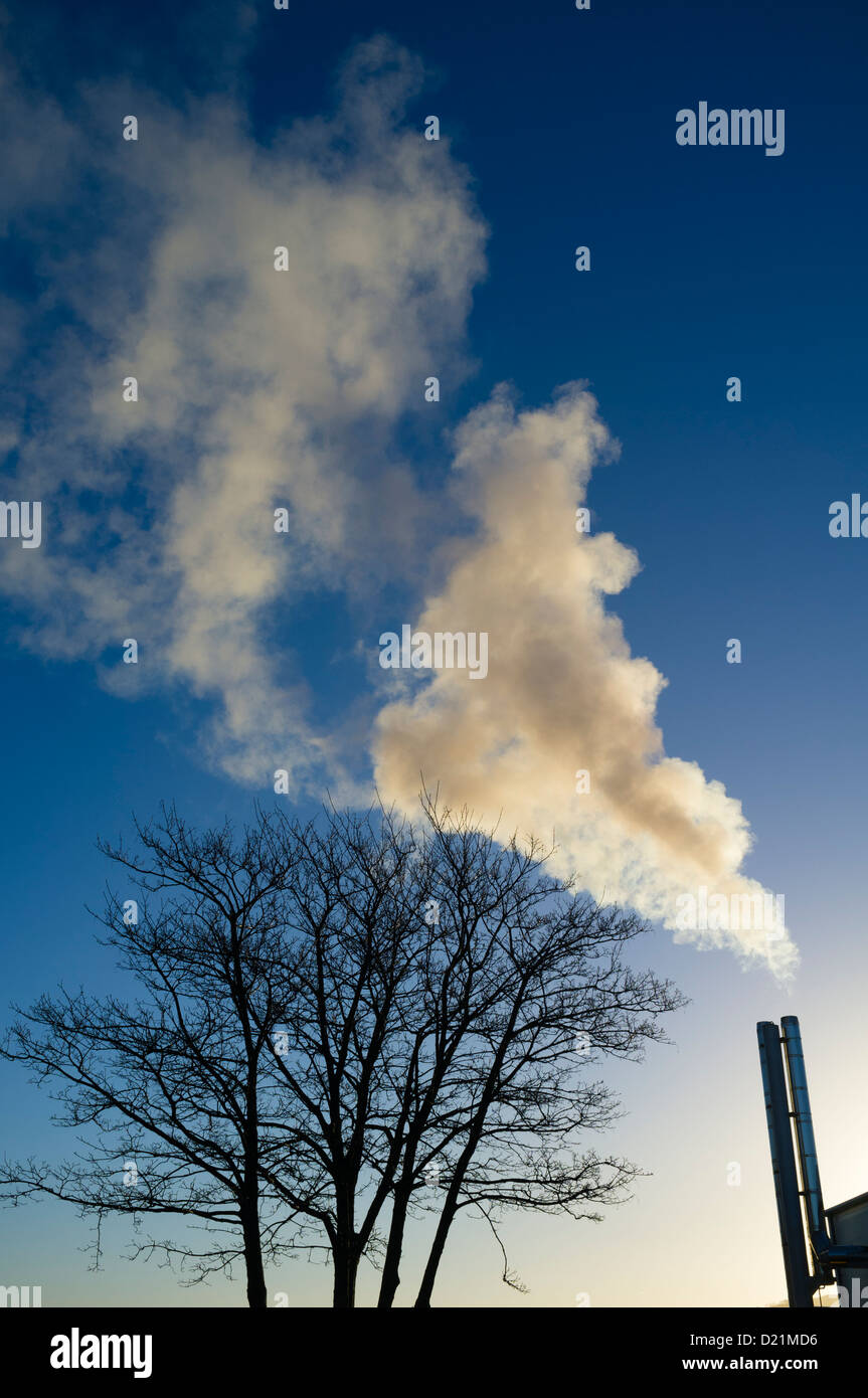 Steam escaping from the chimney of a commercial biomass-fueled combined ...