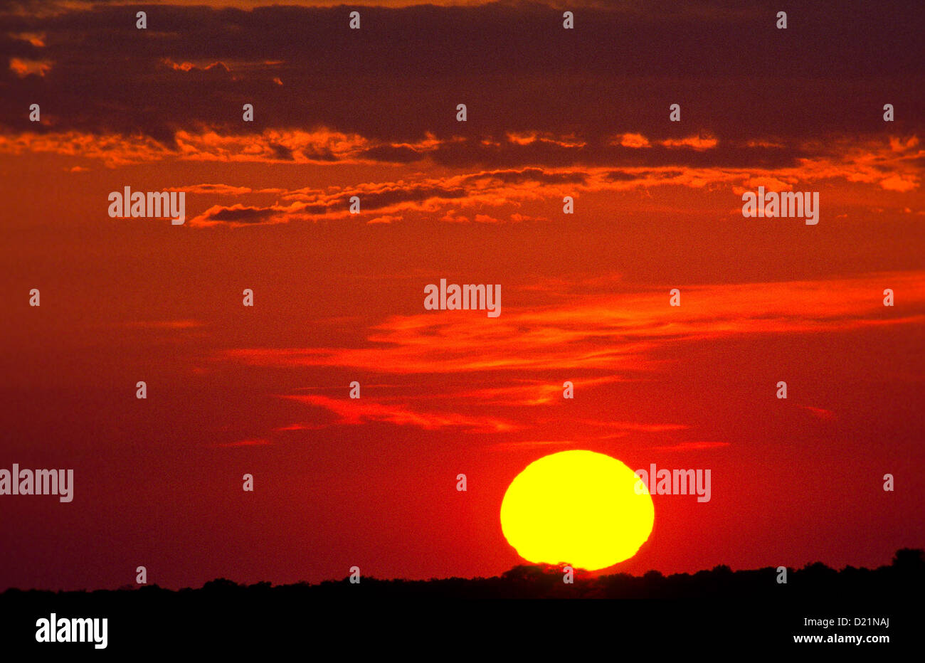 EARLY MORNING AND THE AFRICAN SUN RISES OVER THE KALAHARI Stock Photo ...
