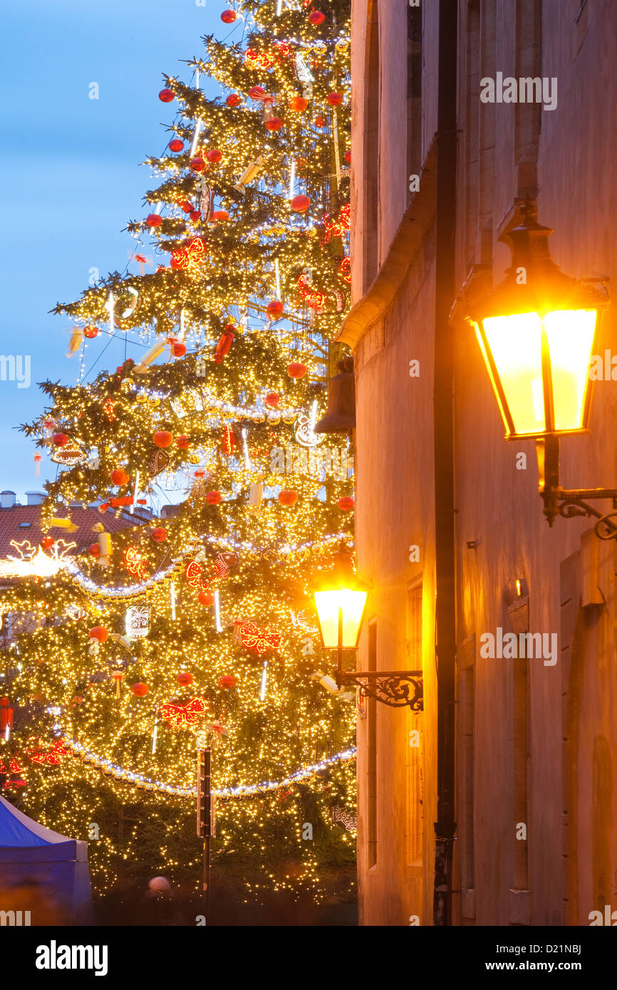 Medieval christmas tree hi-res stock photography and images - Alamy