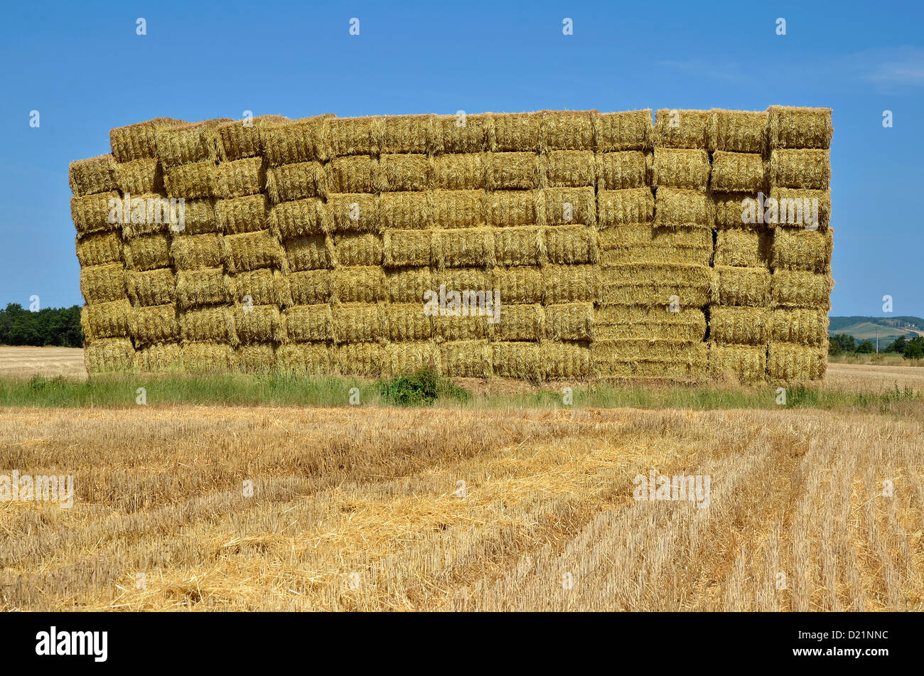 Cube of straw in France, Midi-Pyrénées region, Tarn department Stock ...