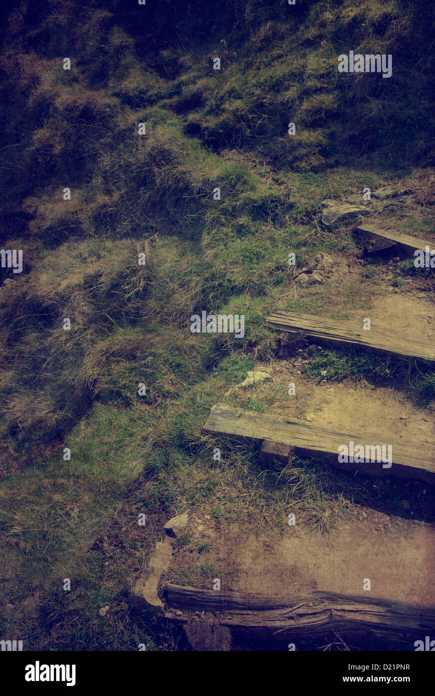Steps in the countryside Stock Photo - Alamy