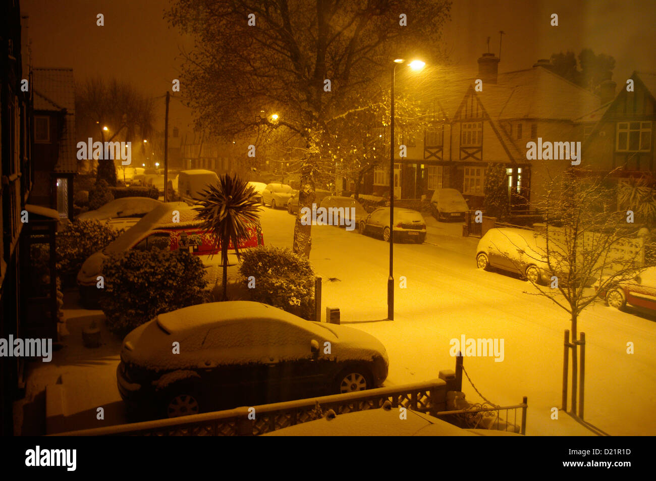 Street Lights In Winter