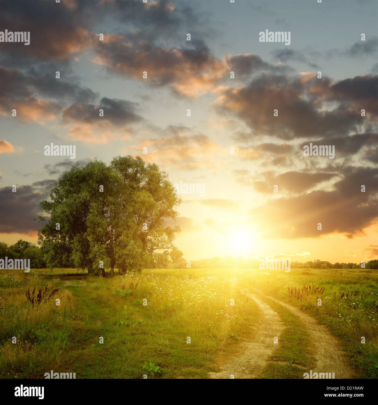 Field and dirt road to sunset Stock Photo - Alamy