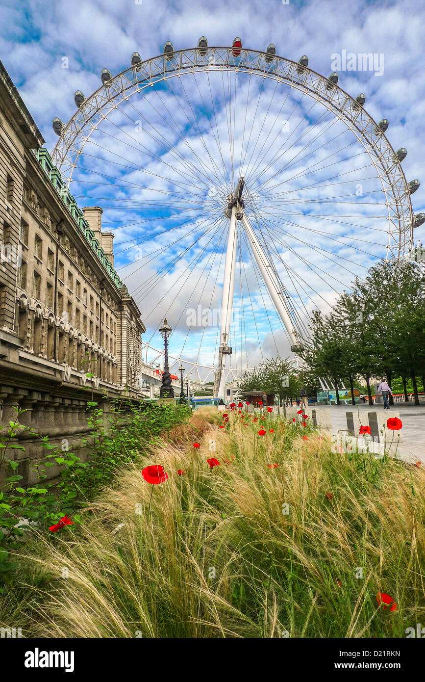 Millennium Wheel with poppies Stock Photo - Alamy