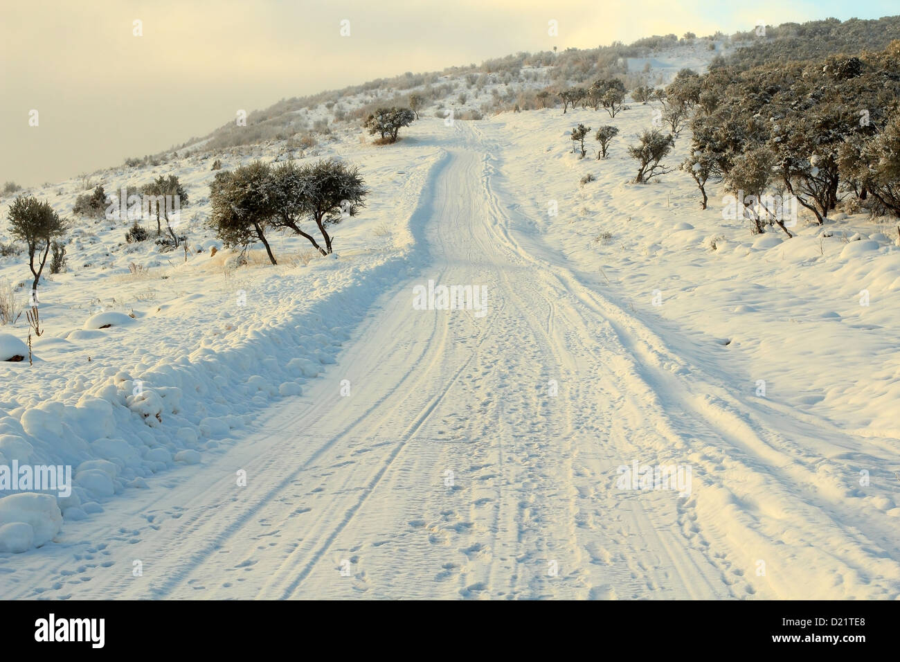 Top view mountain road leading hi-res stock photography and images - Alamy