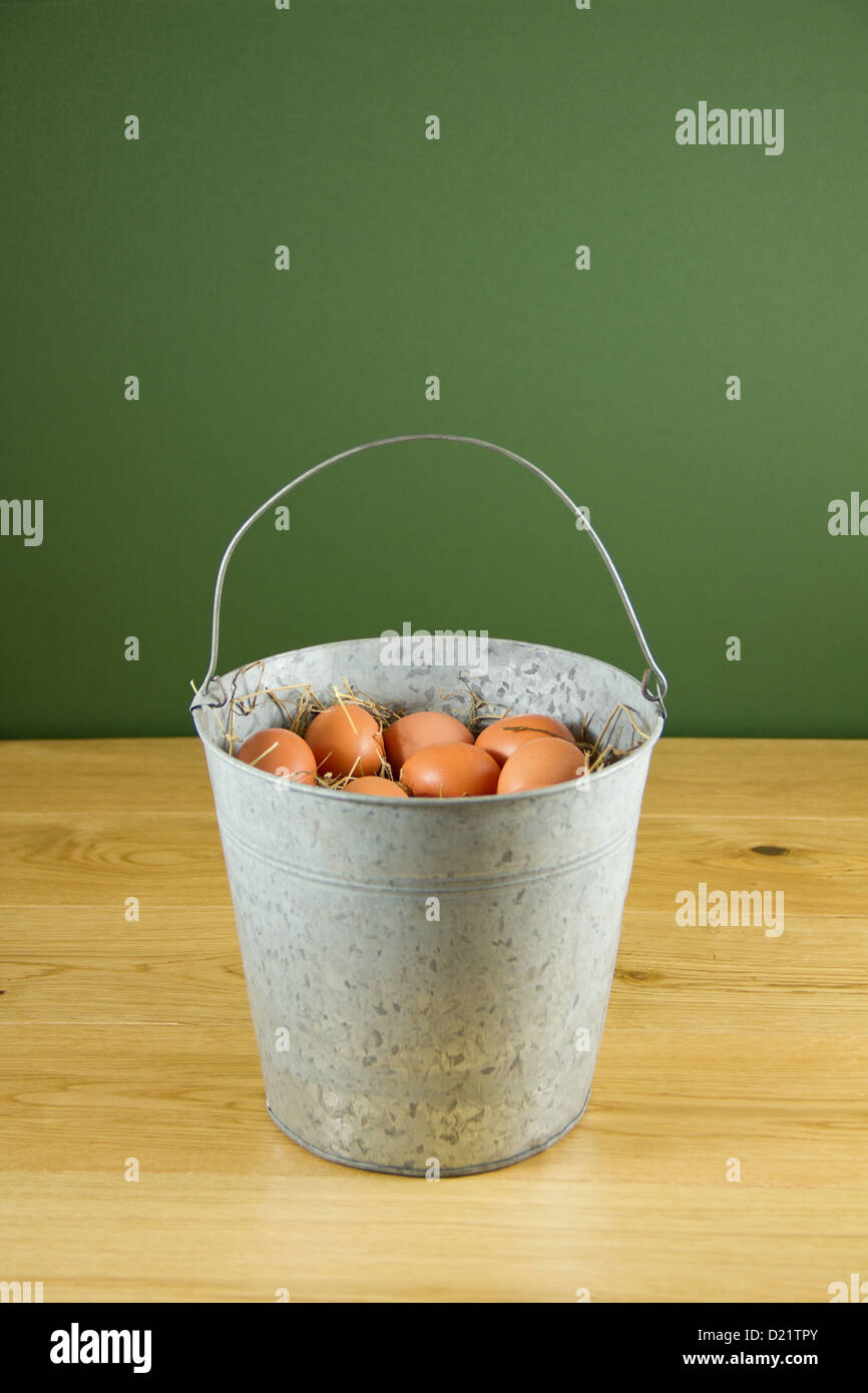 Metal bucket of eggs Stock Photo - Alamy