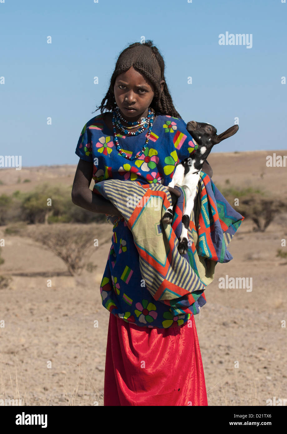 Afar Girl Carrying A Goat, Assaita, Afar Regional State, Ethiopia Stock ...
