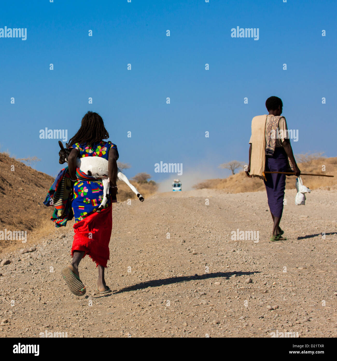 Afar Girl Carrying A Goat, Assaita, Afar Regional State, Ethiopia Stock ...