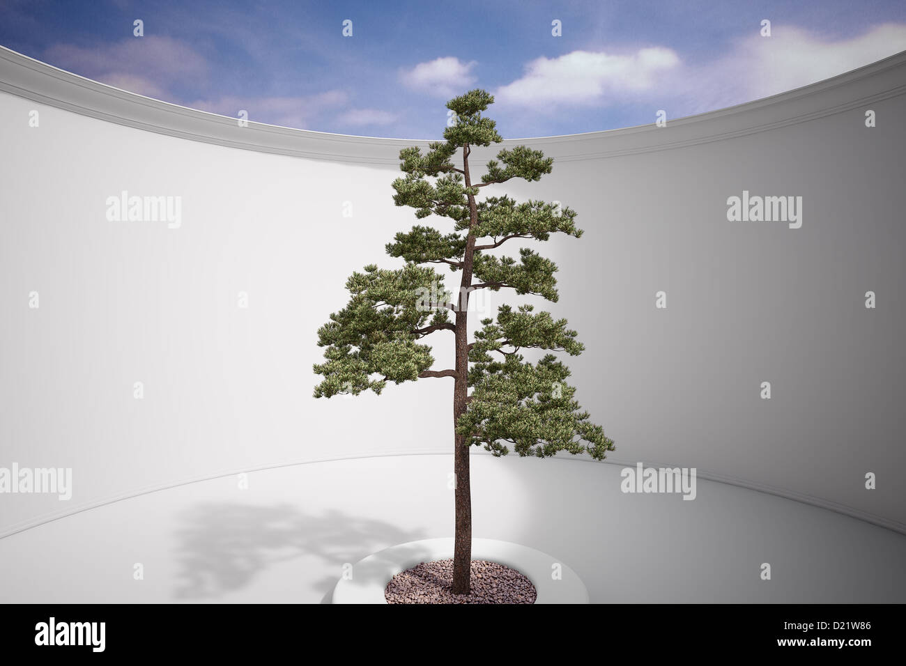 Tree installation in round room Stock Photo - Alamy
