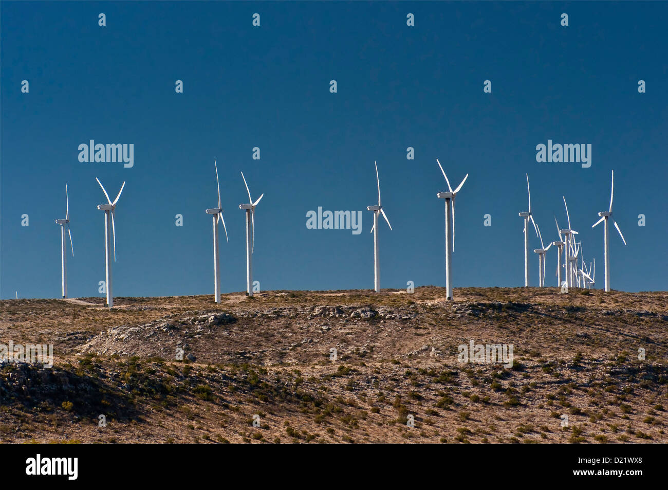 Stockton plateau hi-res stock photography and images - Alamy