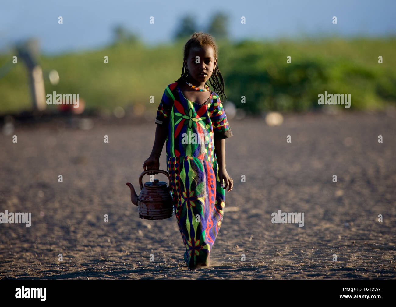 Young Girl Bringing Water, Assaita, Afar Regional State, Ethiopia Stock ...
