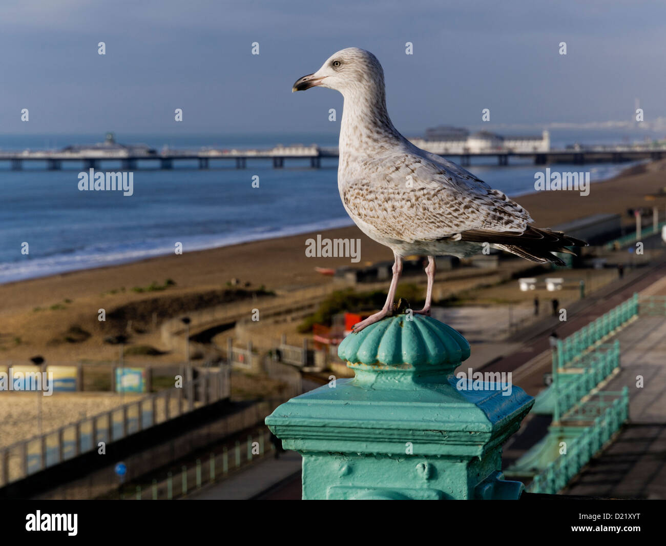 English channel background hi-res stock photography and images - Alamy